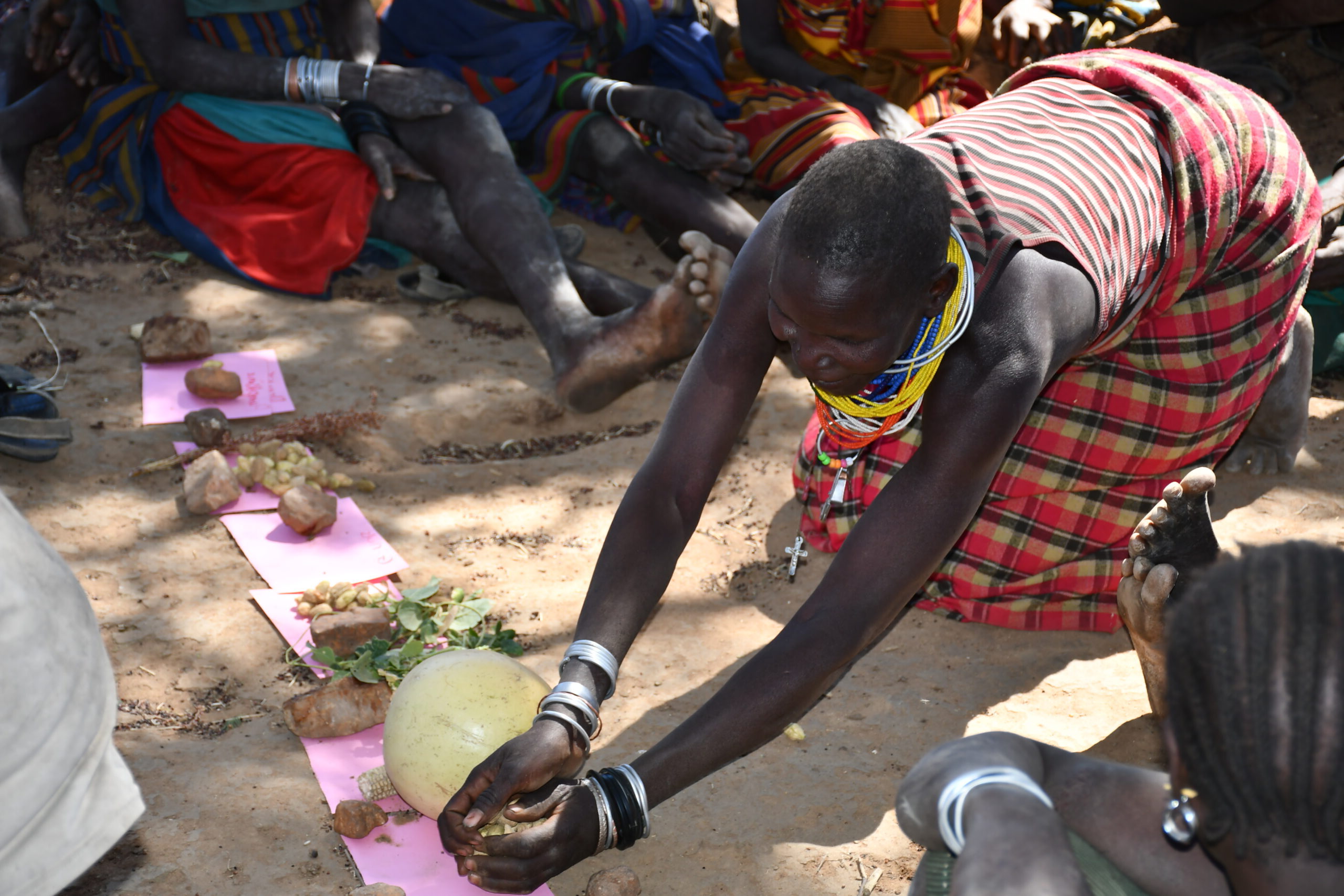 Kenya formally adopts LEGS through NDMA as national focal point ...